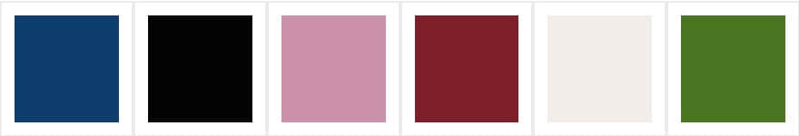 Evolution Trillium Walker - City Wide Scooter & Wheelchair Sales & Service